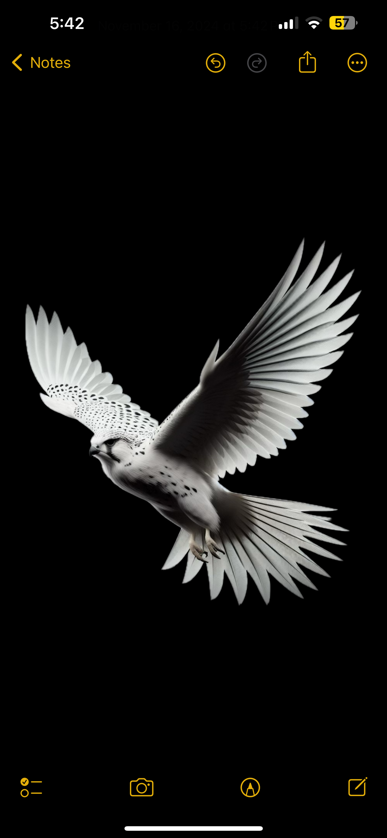 Devotions – Hawks Collective